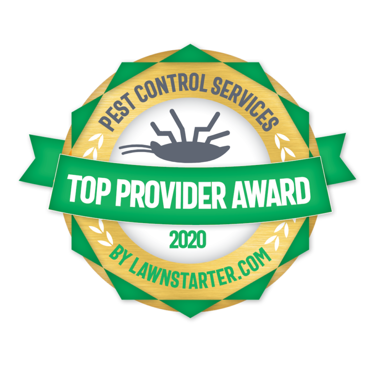 Turbo Termite- Termite Inspection in San Diego and Chula Vista